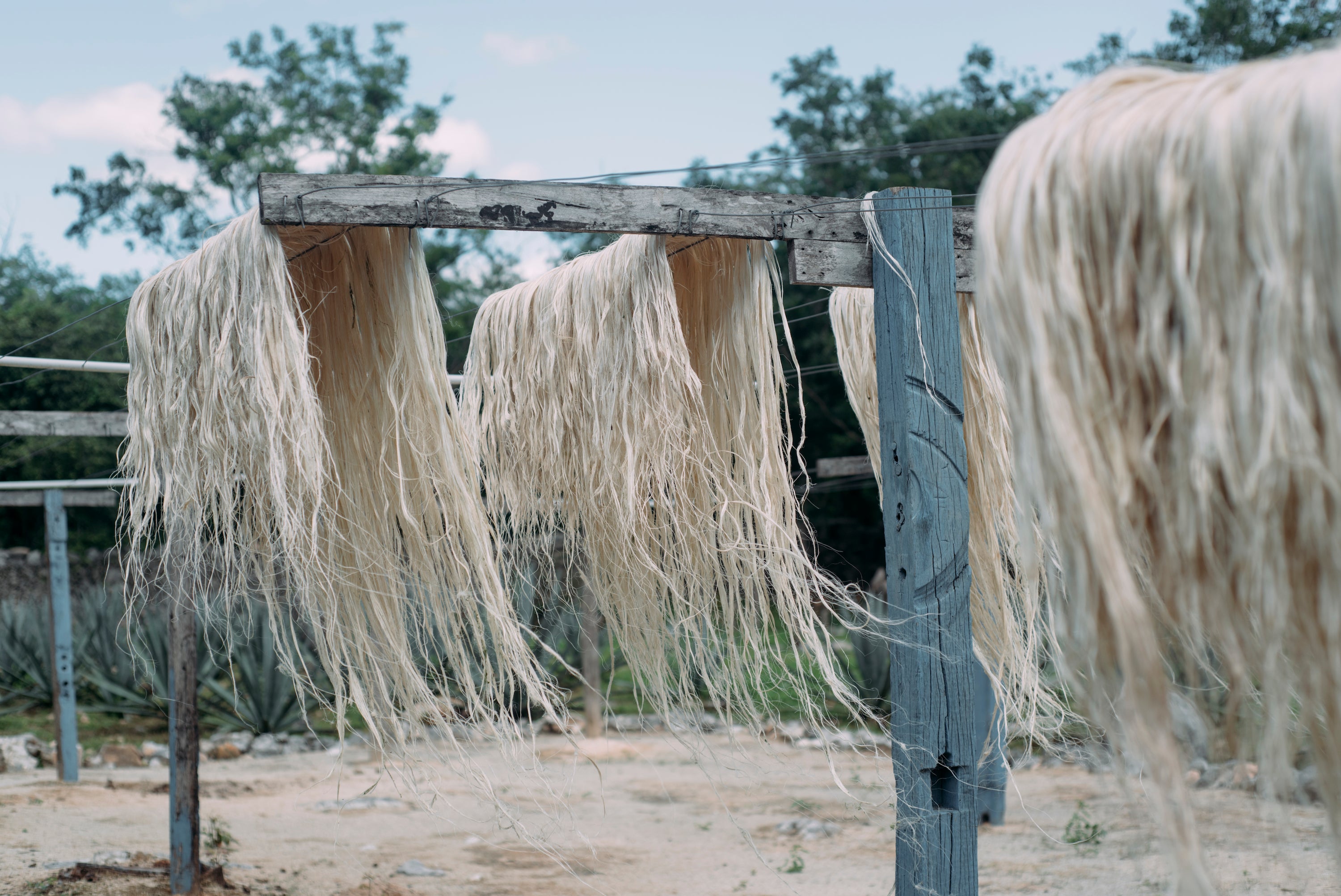 ANGELA DAMMAN: CRAFTS OF YUCATAN – Selvedge Magazine